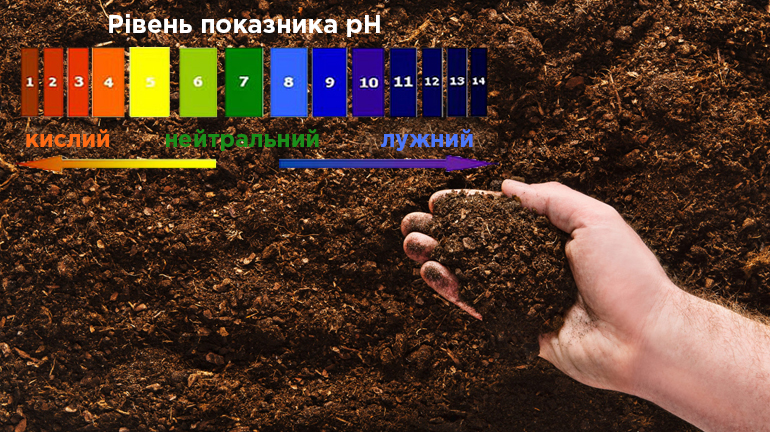 Блог Ольги Клименко: Урок № 10