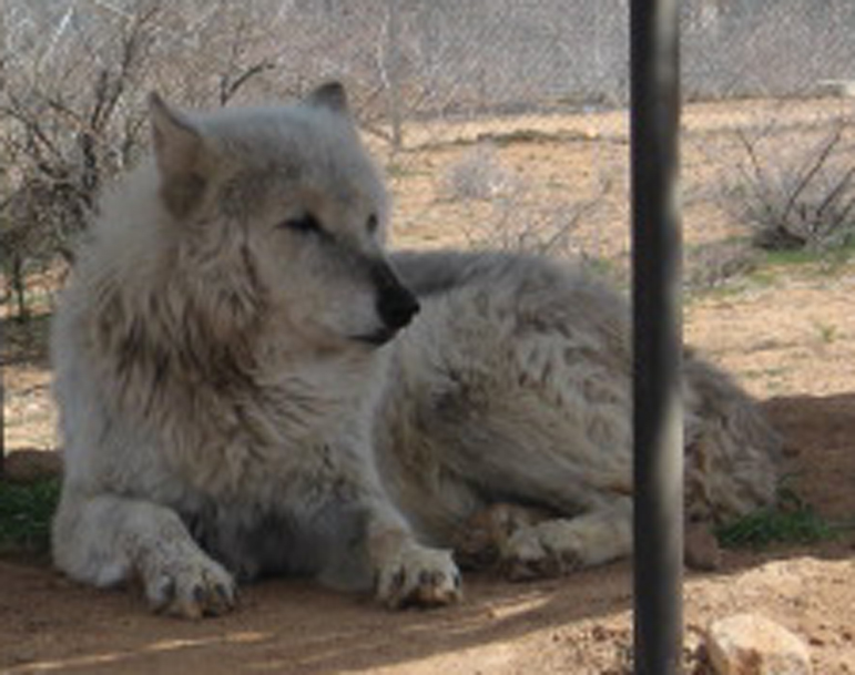 Nora's Nifty Notions: Rather bummed