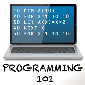 Online Taleem: Computer Programming - Basics