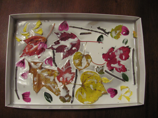 The Chocolate Muffin Tree: Autumn Treasures Shadow Box