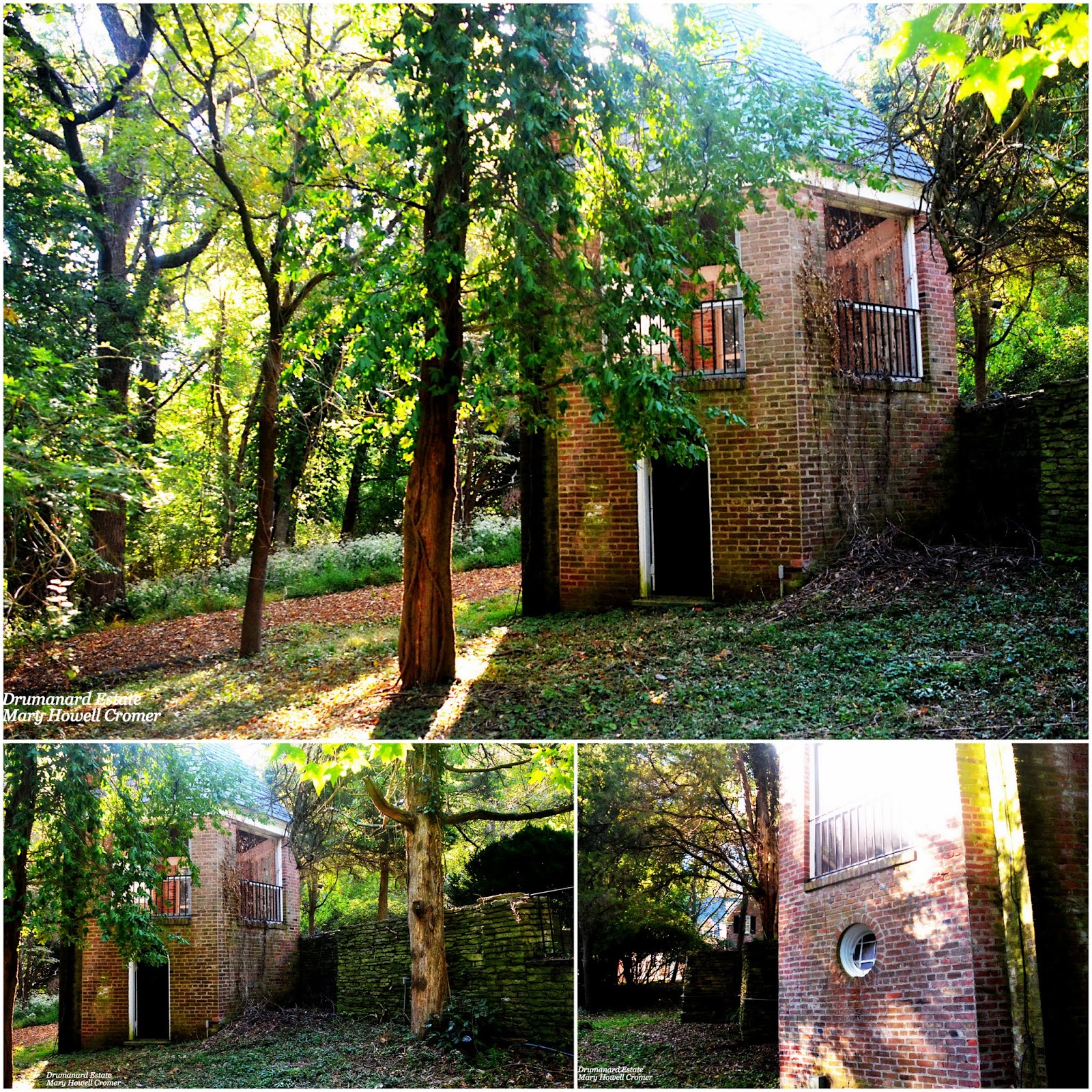 Red-shouldered Hawks of Tingsgrove and Beyond: The Rosewell Mansion ...