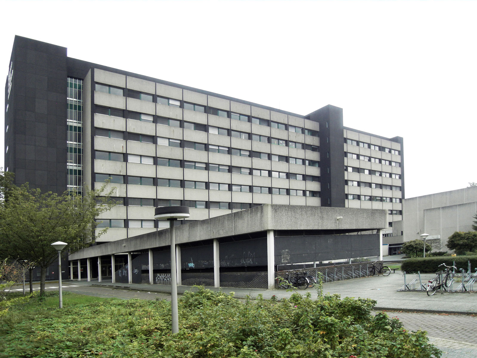 Acta amsterdam wonen – Studio kop en schotel