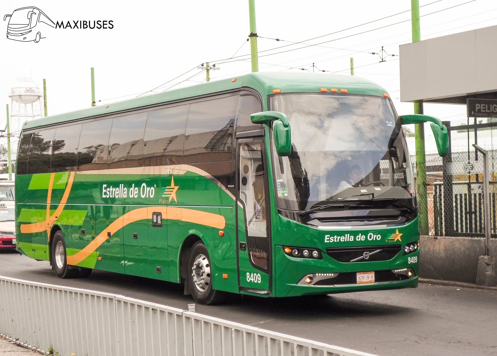 MAXIBUSES: ESTRELLA DE ORO PLUSS