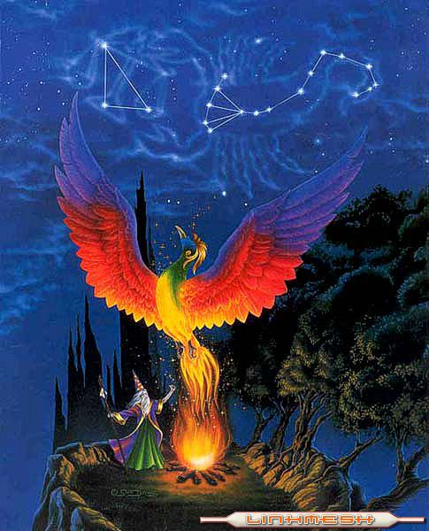 FENIX: EL AVE DE LA INMORTALIDAD: 2013