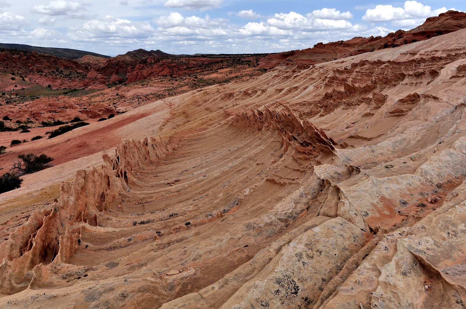 Les voyages de Michèle et Jean-Michel: West Clark Bench - Maze Rock Art ...