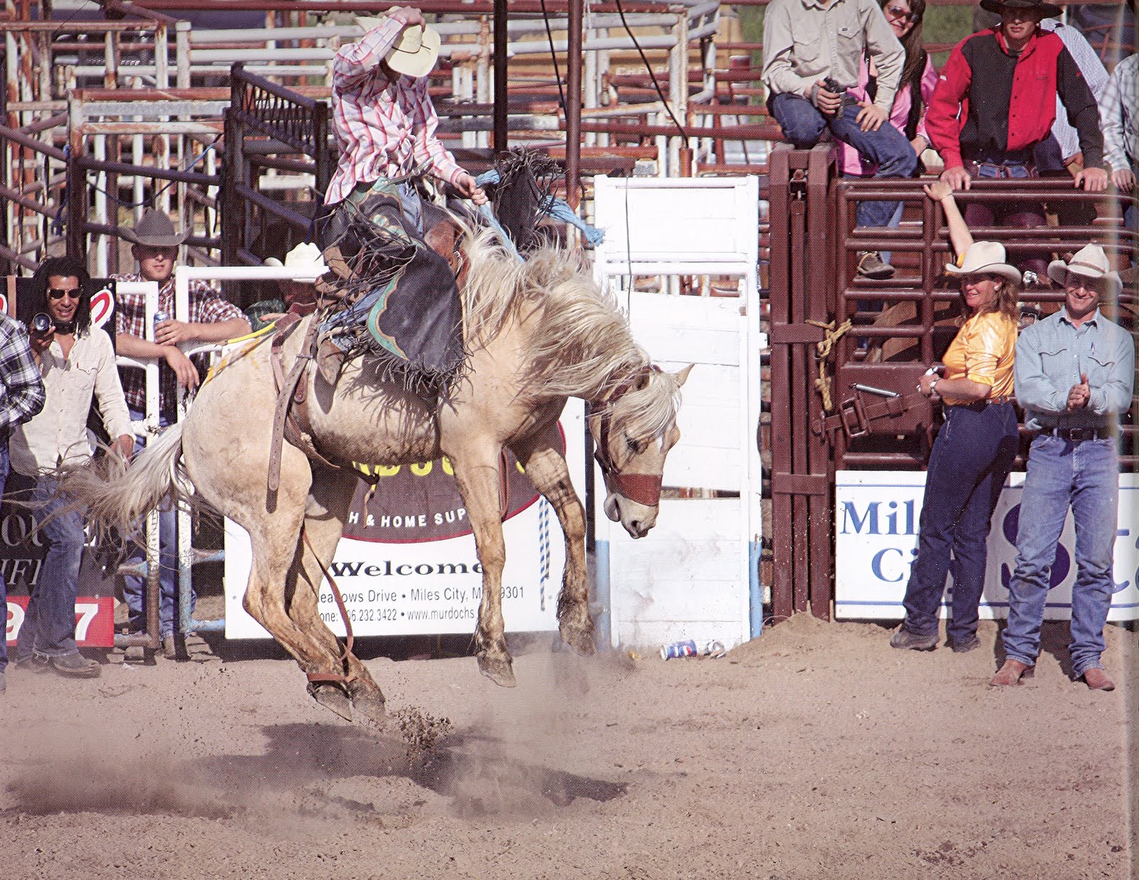 Beth Fish Reads: Review: The World Famous Miles City Bucking Horse Sale ...