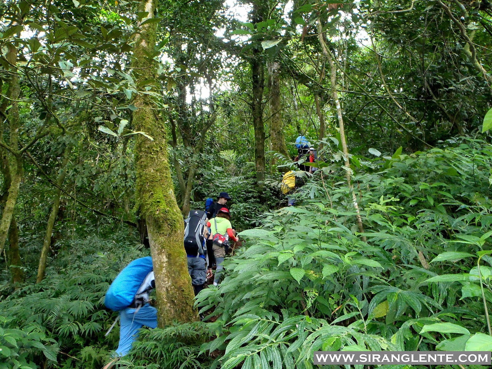 SIRANG LENTE: MT. MACULOT: 2021 HIKING GUIDE | BATANGAS TOURIST SPOTS