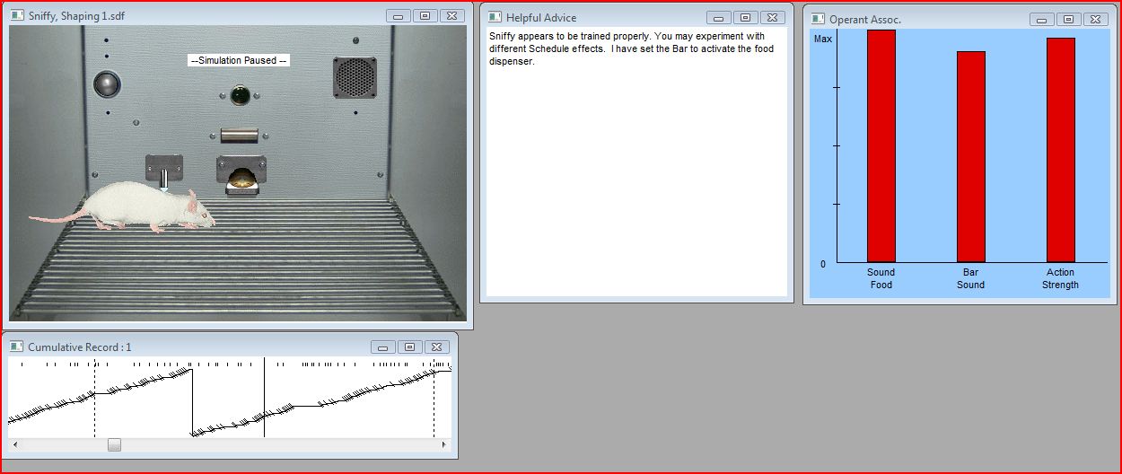 Lilly's Life: Adventures in PY408: Lilly's Virtual Friend: A Post on Sniffy