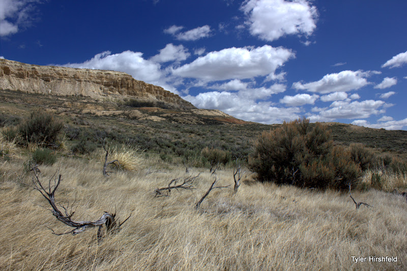 Tyler Hirshfeld Photographs: Fossil Butte National Monument, Wyoming