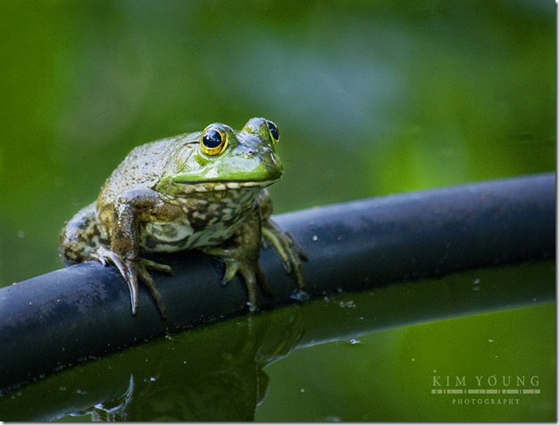 Through A Photographer's Eyes: Favorite Photo of the Week Winners - Week 10