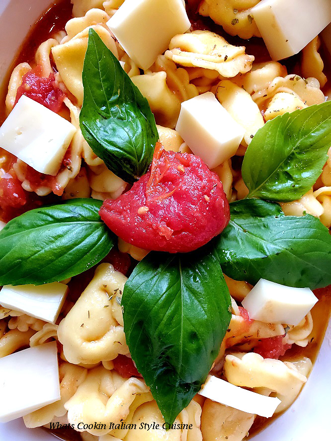 Caprese Tortellini Salad | What's Cookin' Italian Style Cuisine