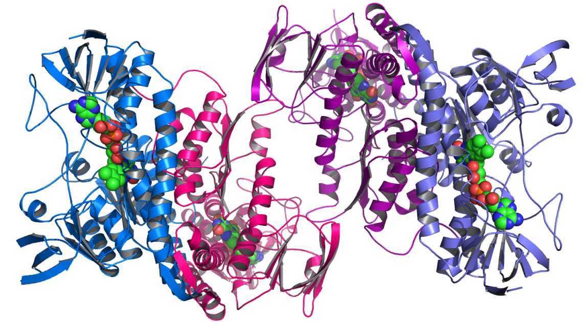 agosto 2011 - Biología