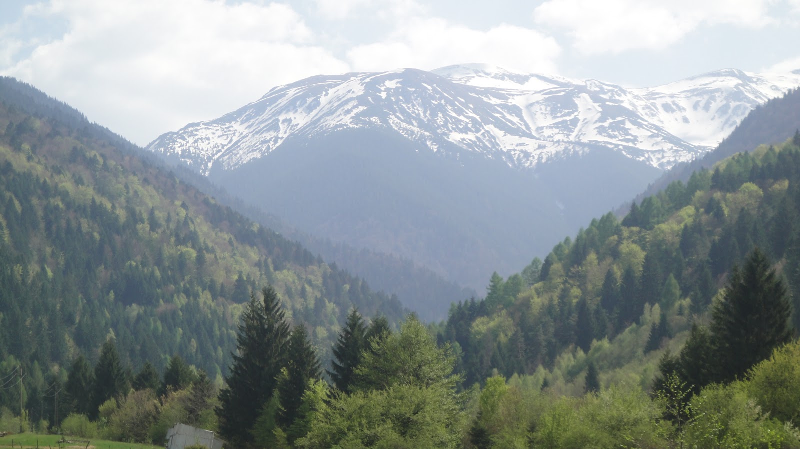 Laura Maria Ilea: Breaza, jud. Brasov