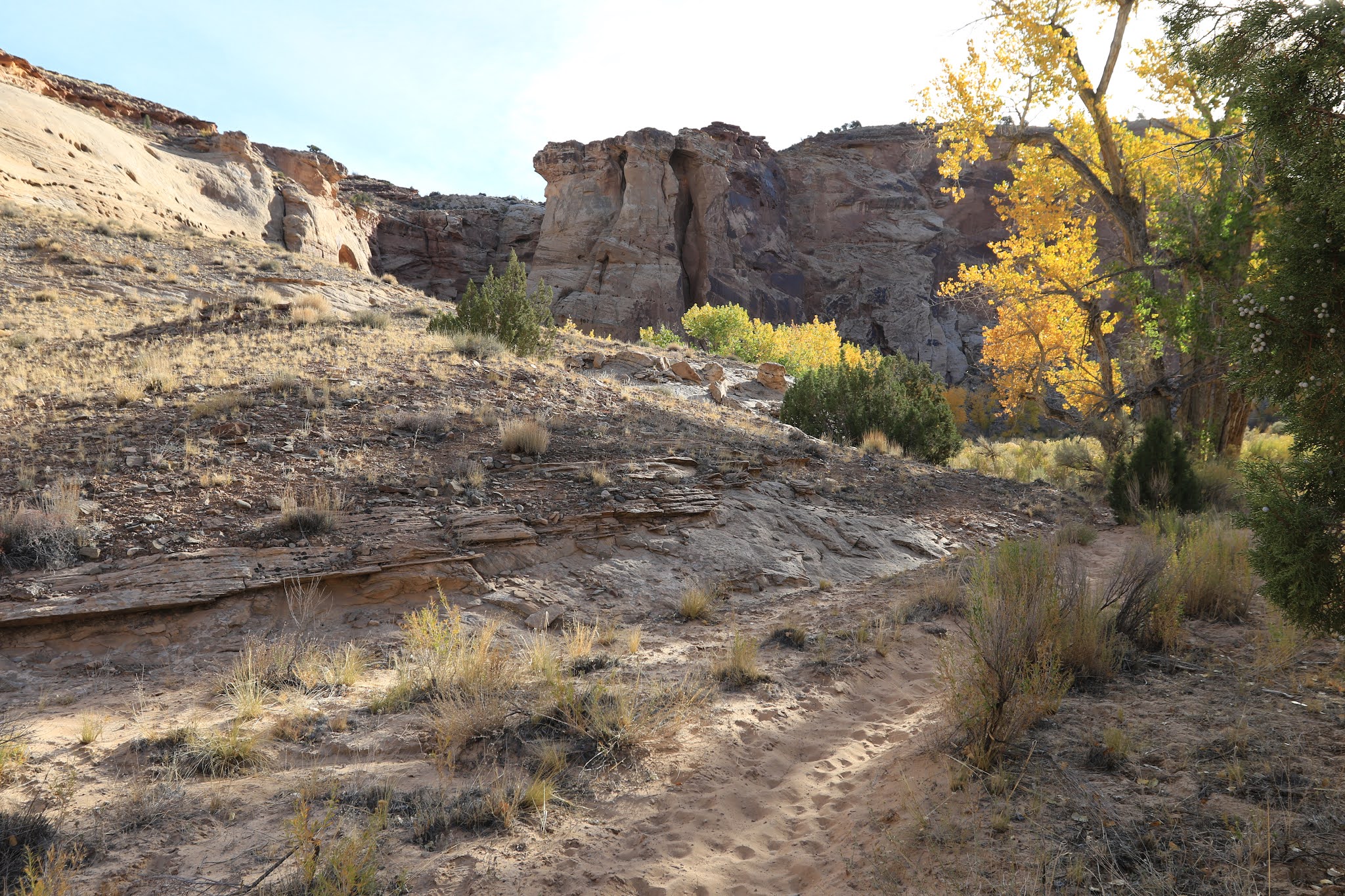gjhikes.com: Virgin Spring Canyon