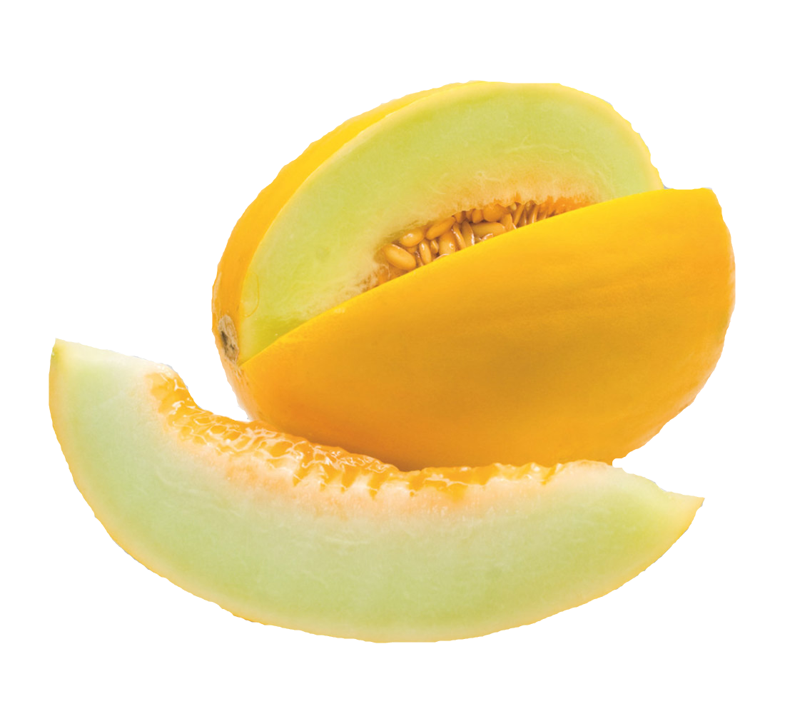 Melão | Melon ~ Enciclopédia Global™