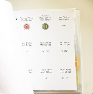 mommy wisdom...: The Scout Binder...