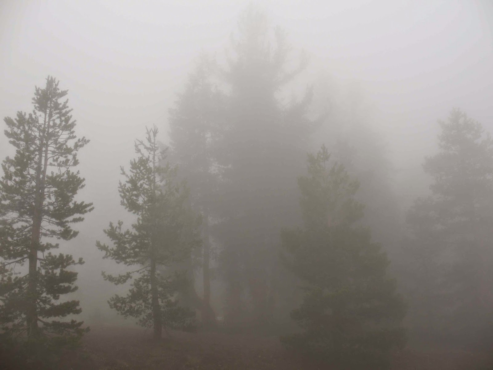 Perbedaan Kabut dan Embun - Geograph88