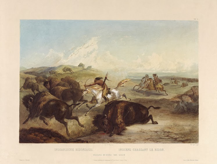 Needstrat: American Indians hunting buffalo after 100 years
