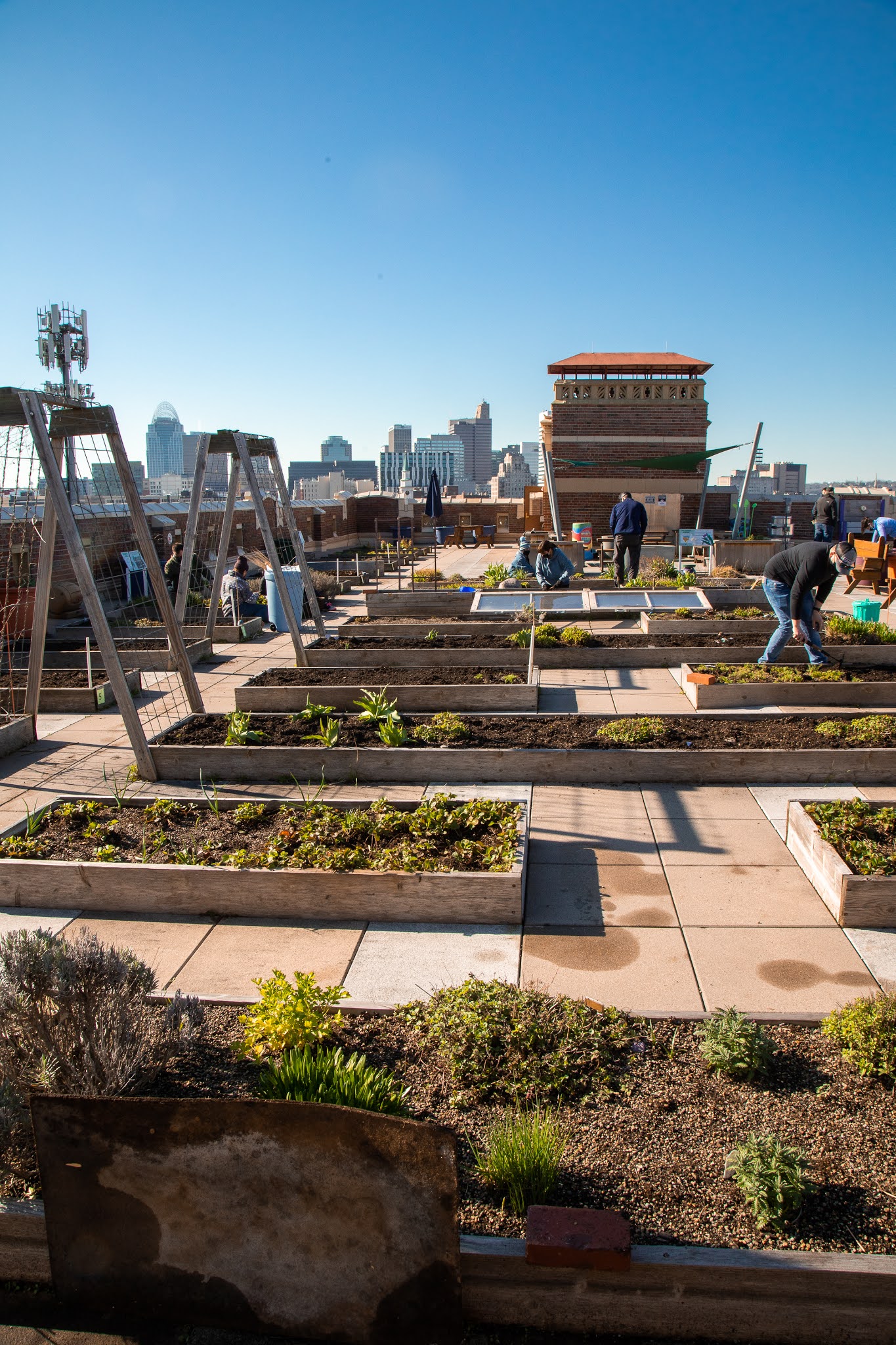 Rod J BeerVentures: MadTree Brewing Opening Alcove – A New Bar and ...