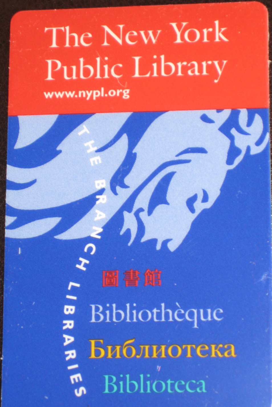 New York City Reflections: A New York Public Library Card!