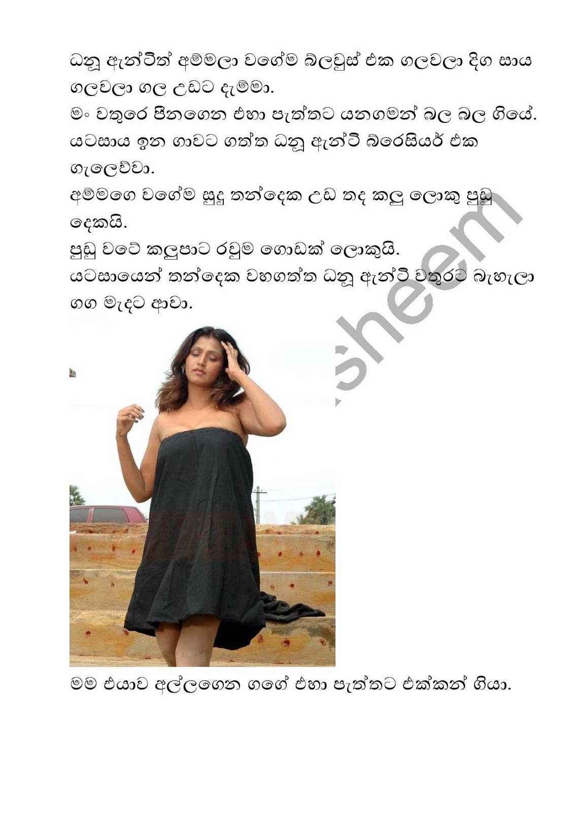 පුන්චිගෙහොරවැඩැකොළහ - Sinhala Wal Katha