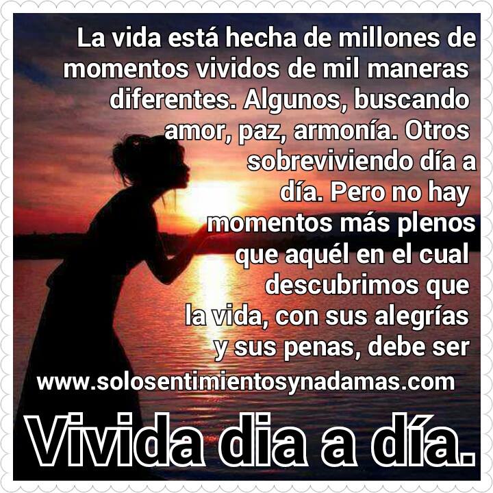 La Vida Está Hecha De Millones De Momentos Solo Sentimientos Y Nada Mas