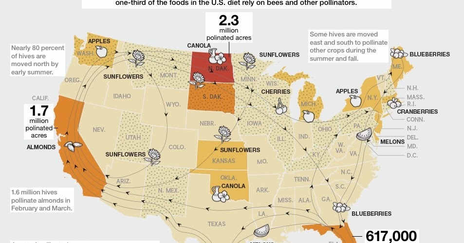 Map of the Week: Bee Pollination