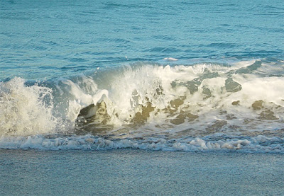 The Art of John Bittinger Klomp: 2016