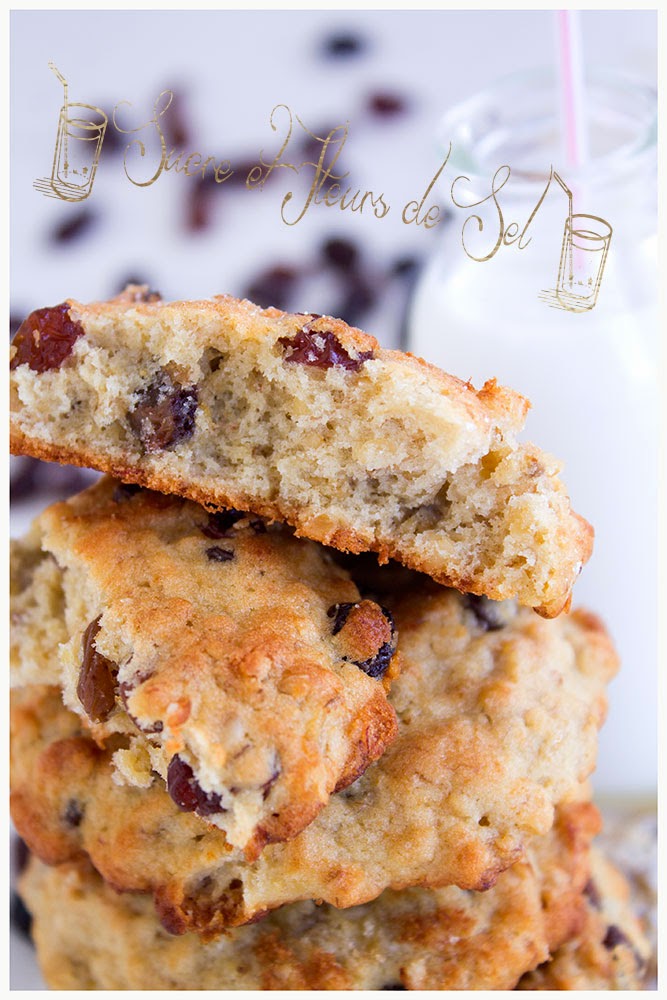 Sucre et Fleurs de Sel: Biscuits aux bananes, flocons d'avoine et ...