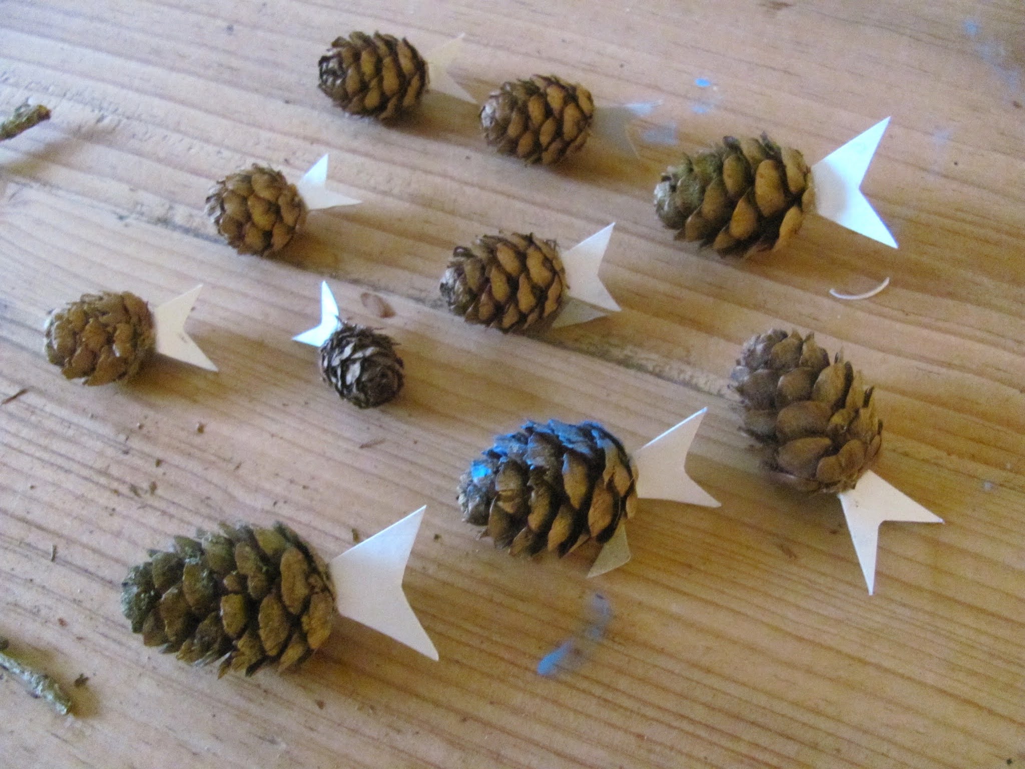 Jumble Tree: Pine Cone Fish