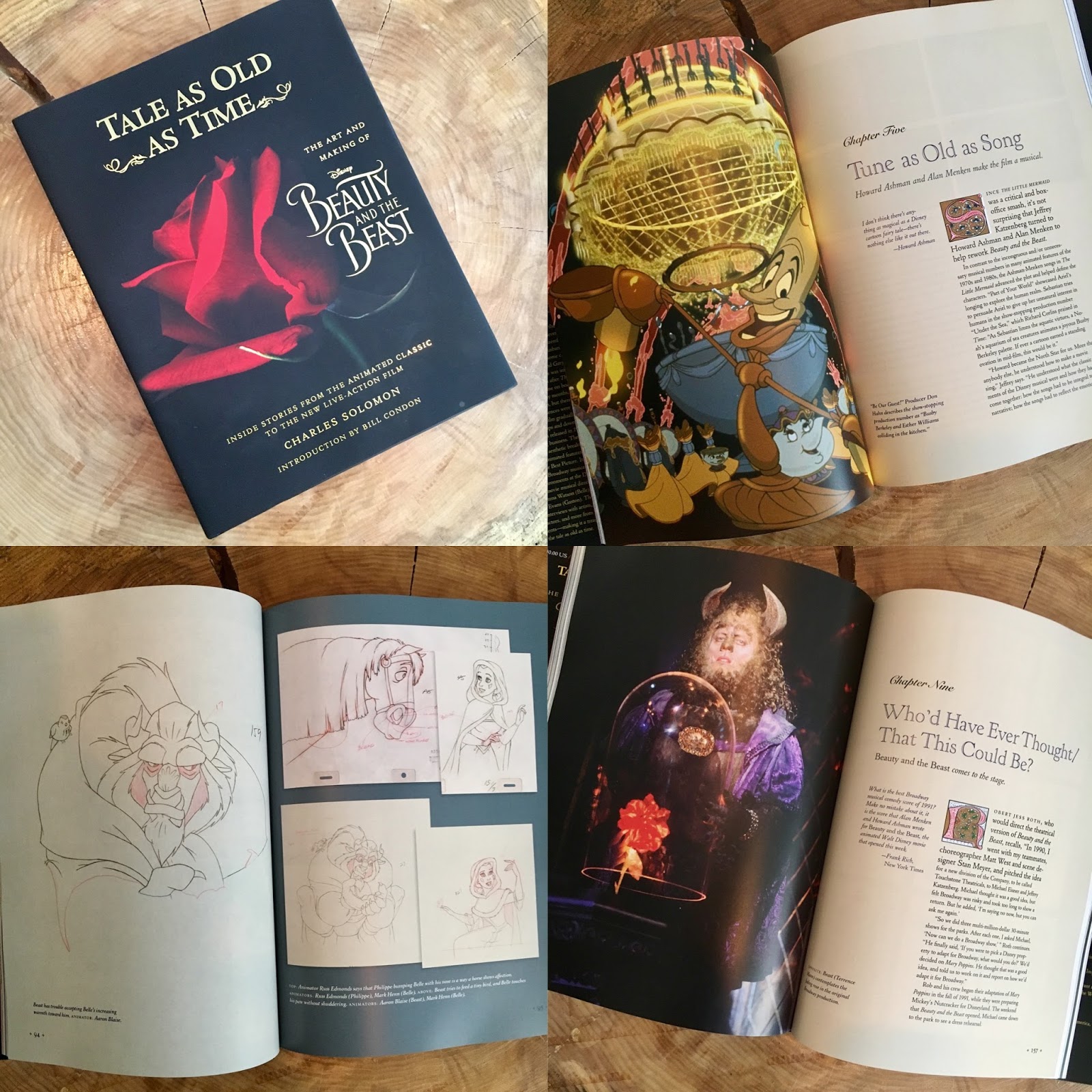 Picturing Disney: Beauty & the Beast Bookworm Breakdown!