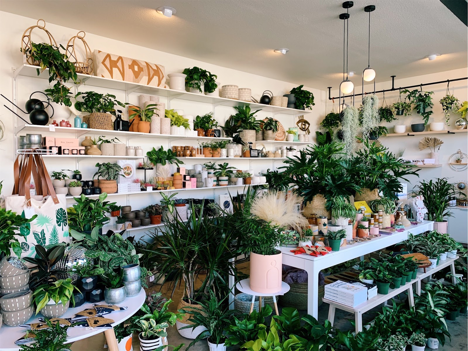 Oceanside's 2 Cutest Plant Shops You Have to Visit - The Bobbed Brunette