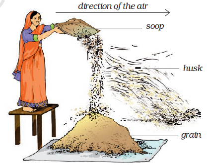 Class 6 Science Chapter 5 Exercises