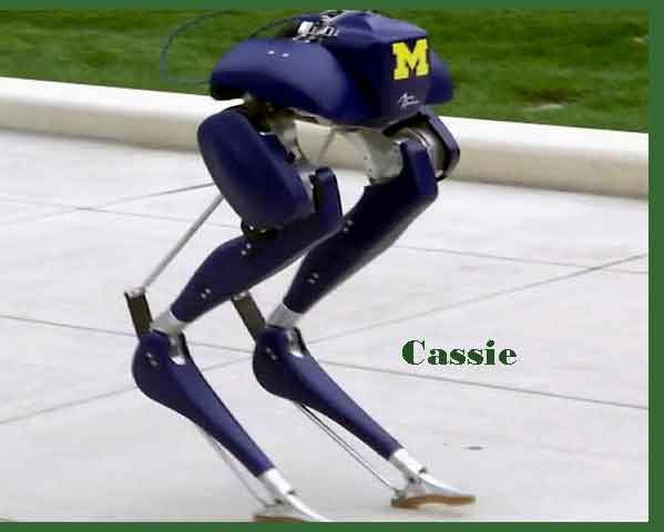 Robot Burung Cassie Erend Elektronik