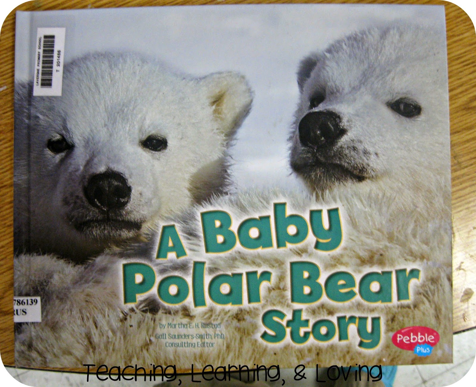 Teaching, Learning, & Loving: January 2015