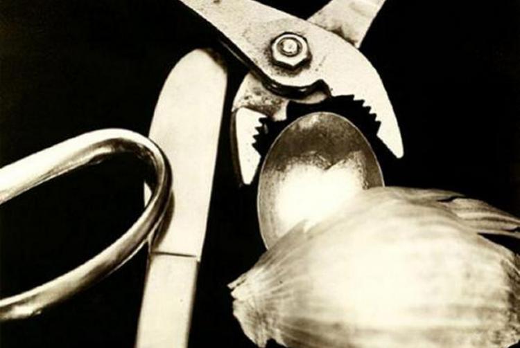 Out of this world: Jan Groover - Postmodern Photographer