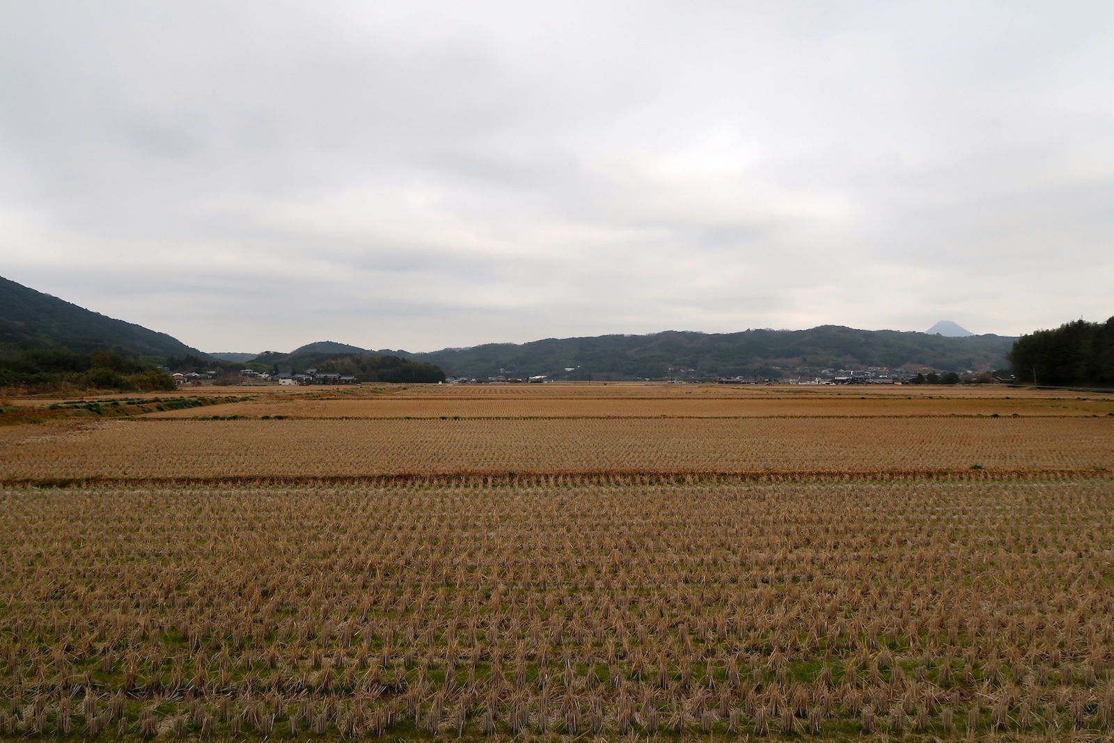 建築と旅 ｜ Architecture; Journey: イナコスの橋 / Inachus Bridge