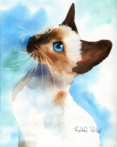 Rachel's Studio Blog: New Cat Original Art Paintings!