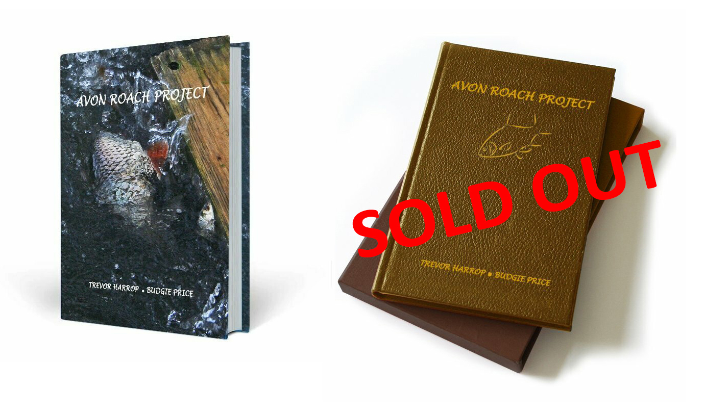 Avon Roach Project: 2020