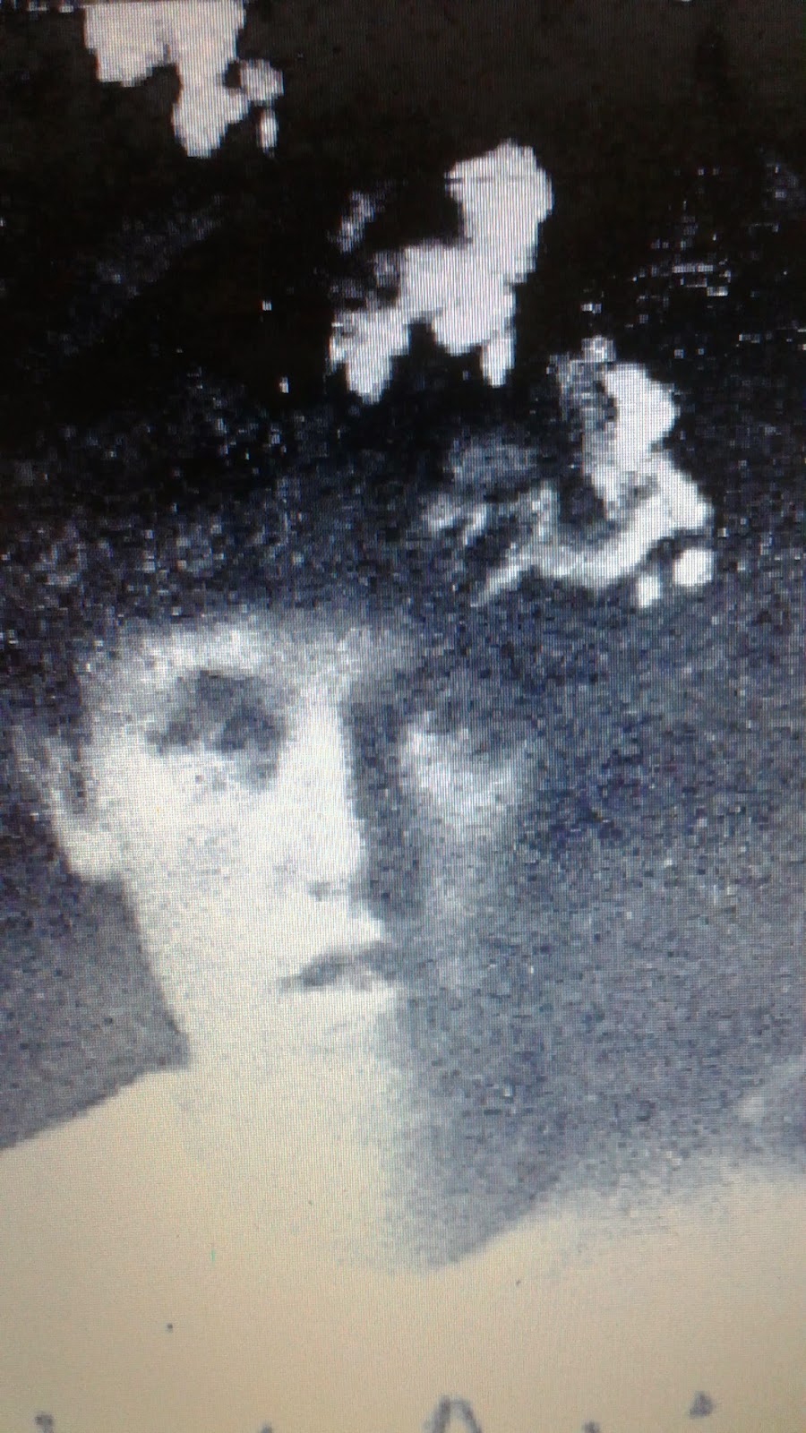 Elaine Barton's Instagram, Twitter & Facebook on IDCrawl