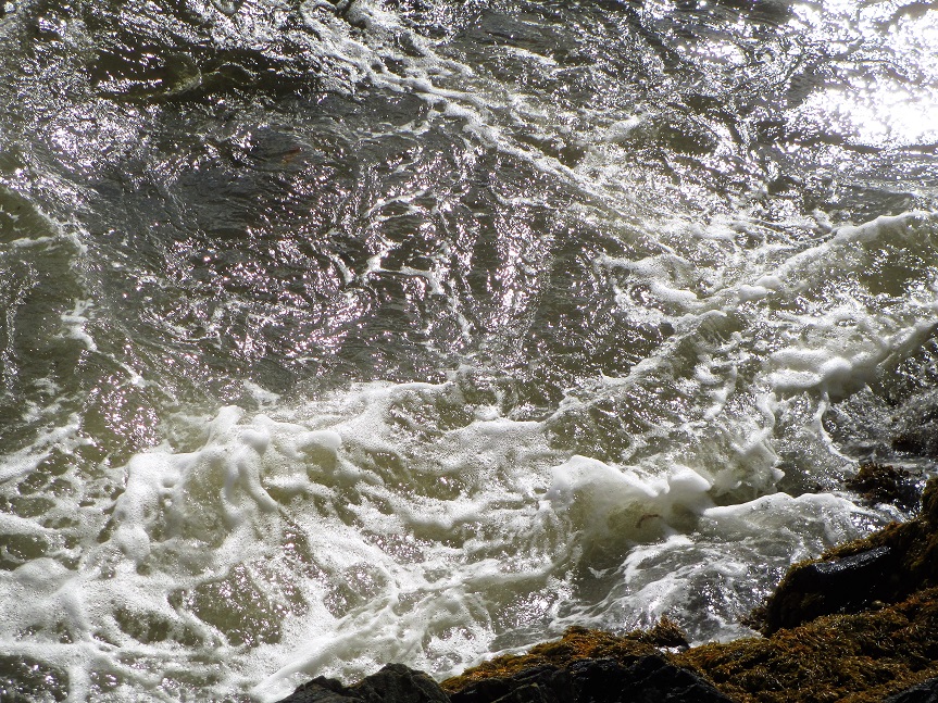 A Wordy Woman: Wild Walk With Wind, Waves, and White Water