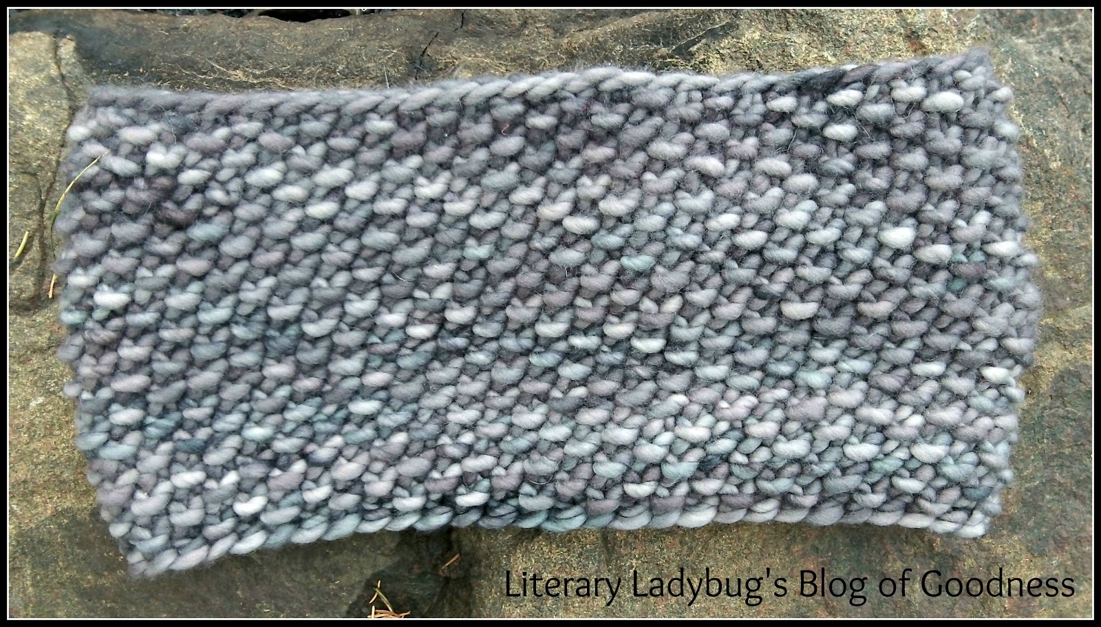 LiteraryLadybug's Blog of Goodness: Plomo Shmomo