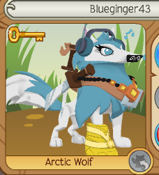 Animal Jam Inside News: Three Great Arctic Wolf Outfits