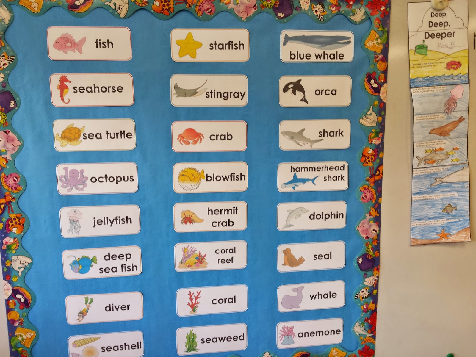 Colors and Kindergarten: Ocean Classroom