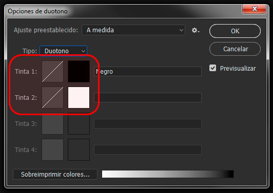 Cómo hacer un Duotono (Lightroom, Camera Raw y Photoshop) - Fotolarios