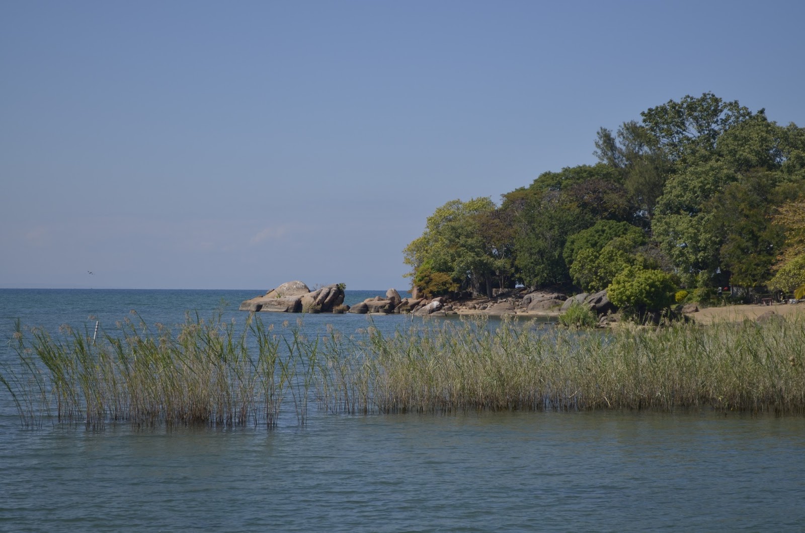 Que Vivamos la Vida: Salima