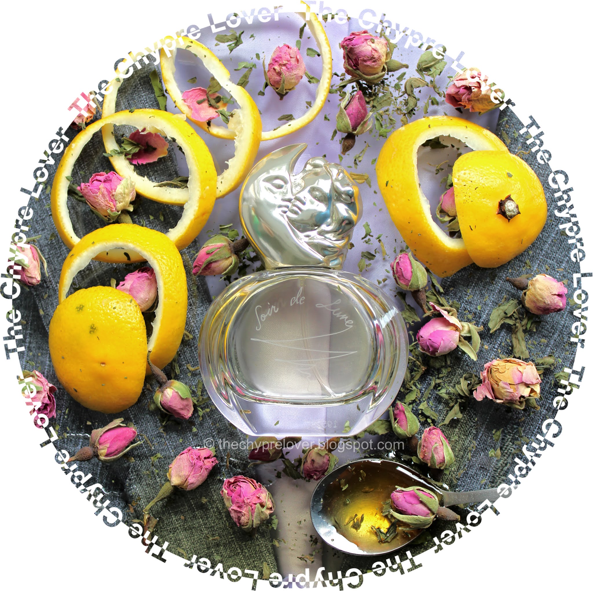 thechyprelover: SOIR DE LUNE by Sisley