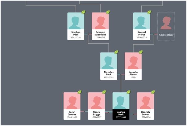 Family of Robert Jillett and Elizabeth Bradshaw A Tree with many ...