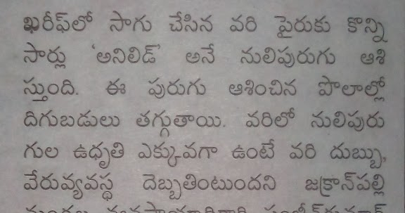 AGRICULTURE INFO: VARI LO NULI PURUGULA NIVARANA