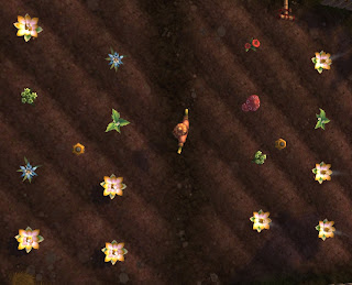 Crazy Wow Secrets: Gold From Sunsong Ranch